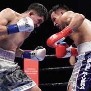 Featherweight World Champion Leo Santa Cruz Retains Title by Unanimous ...